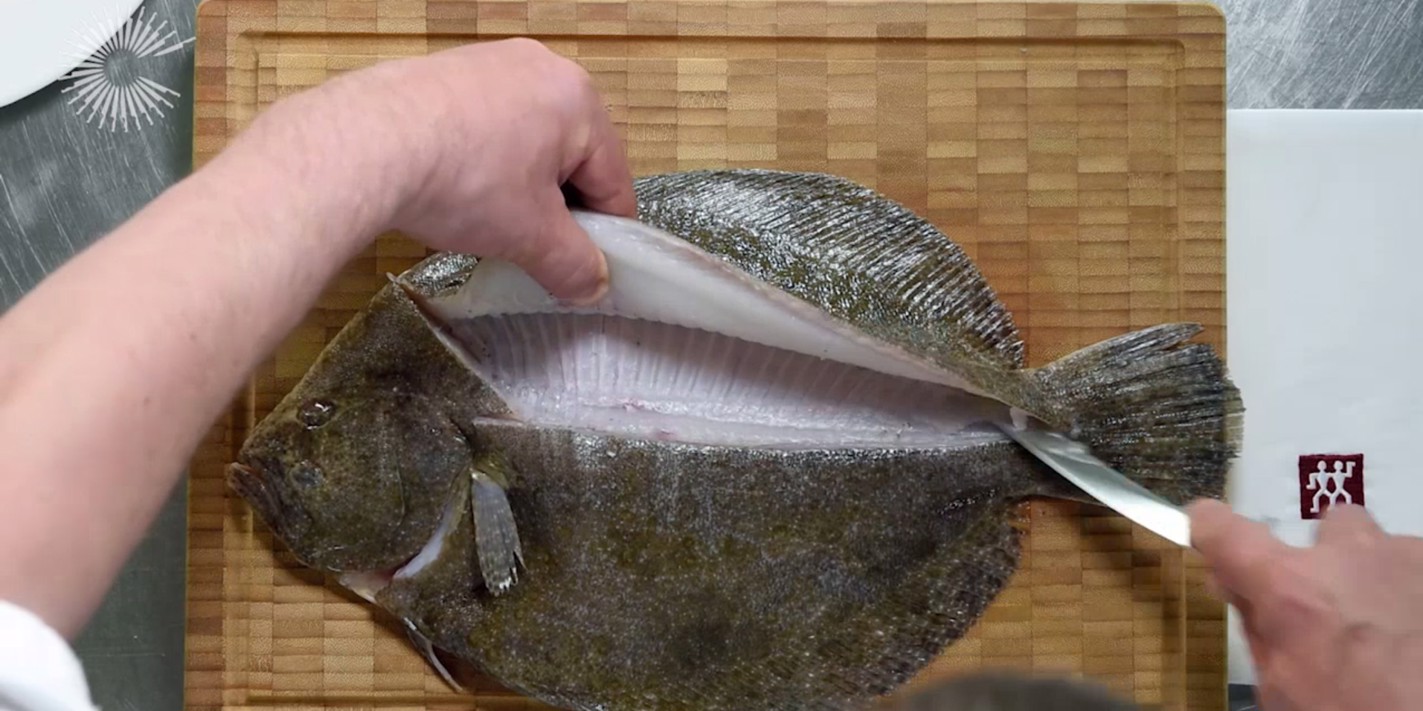 What can I do to make my halibut flatter?
