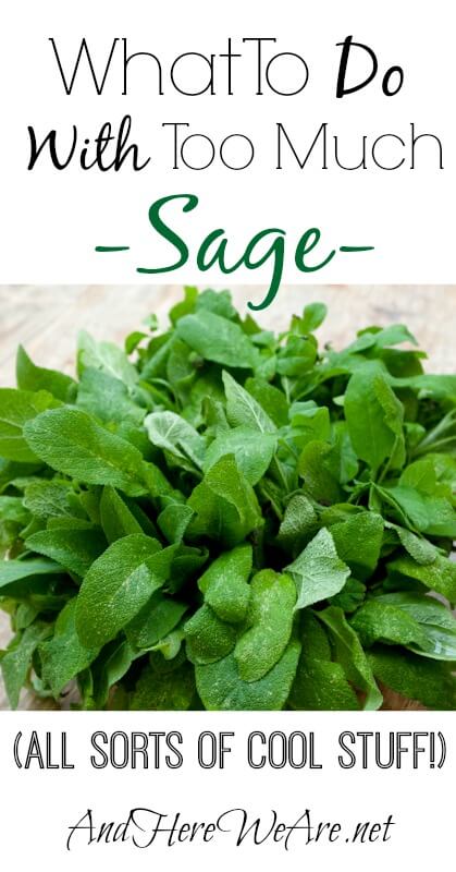 What can I do with too much sage?