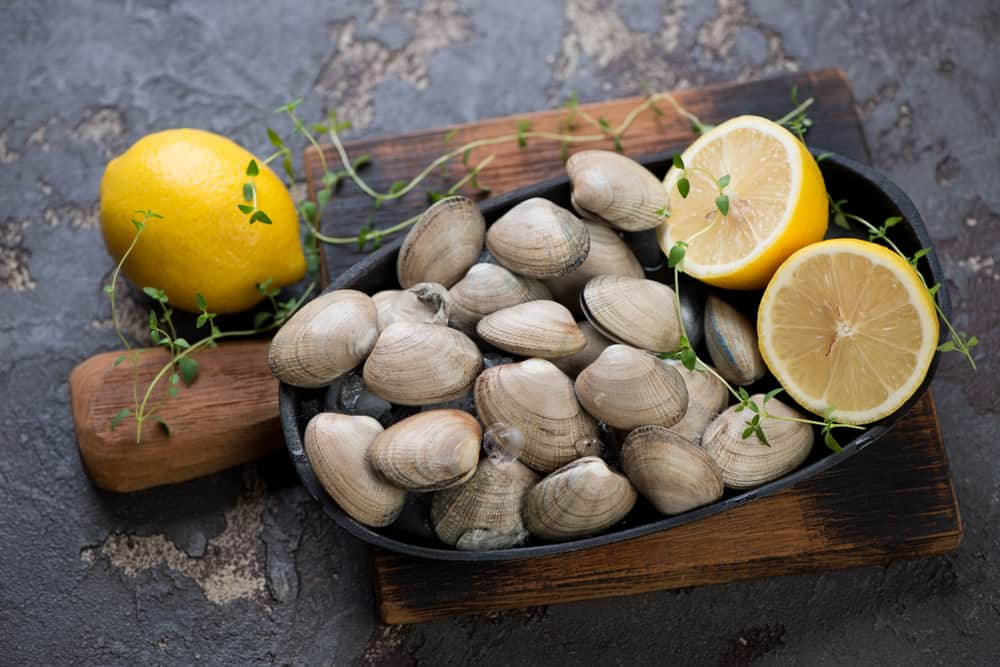 What can I substitute for clams?