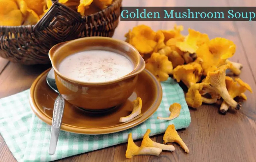 What can I substitute for condensed golden mushroom soup?