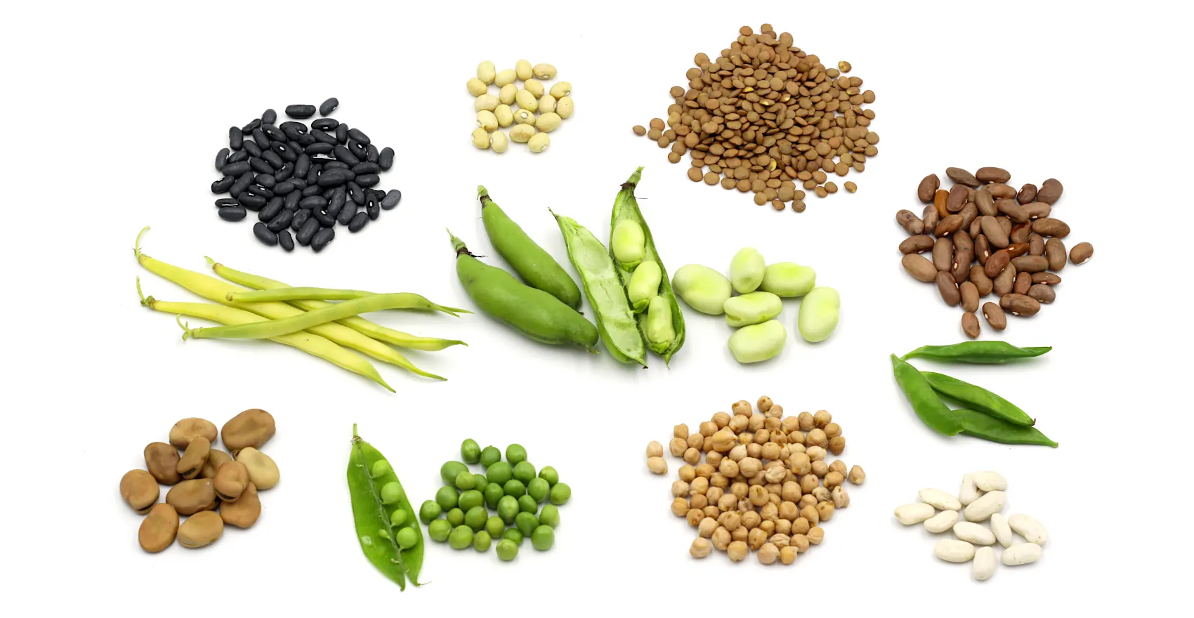 What can I substitute for pigeon peas?