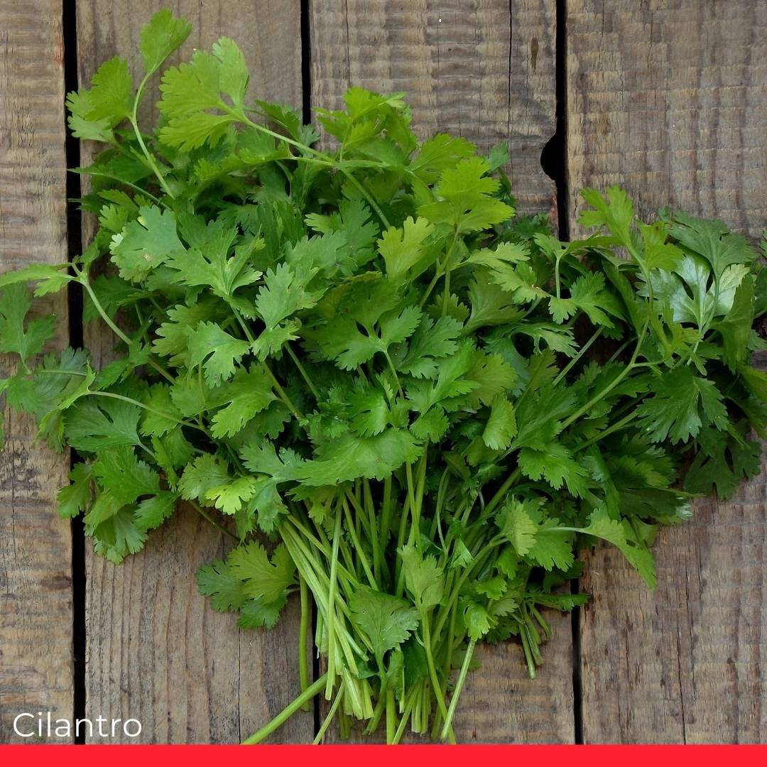 What can I swap parsley for?