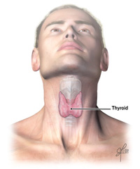 What can inflame the thyroid?