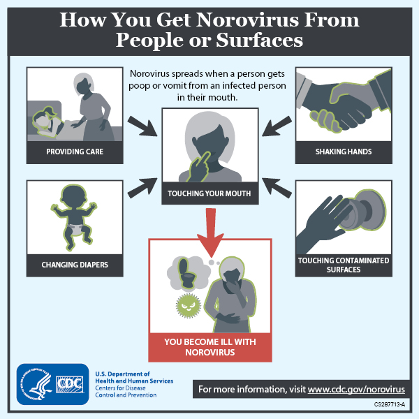 What can norovirus be found in?