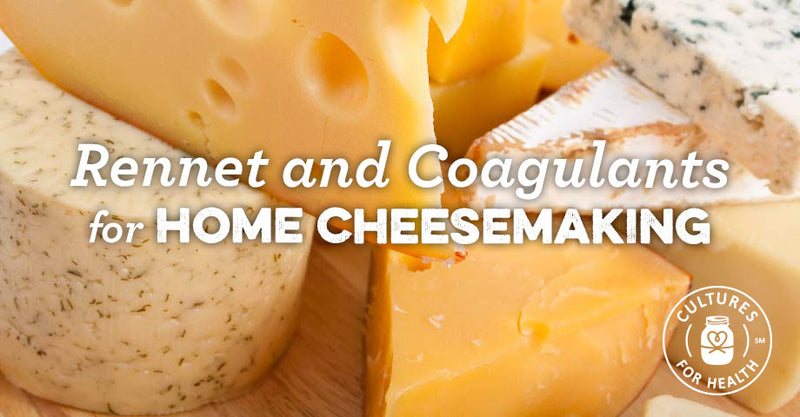 What can replace rennet in cheese making?