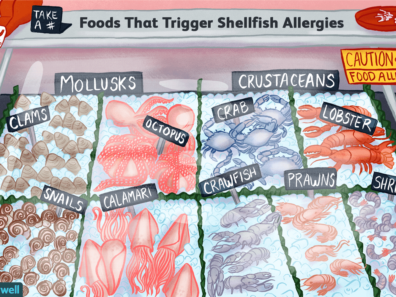 What can shellfish allergy eat?