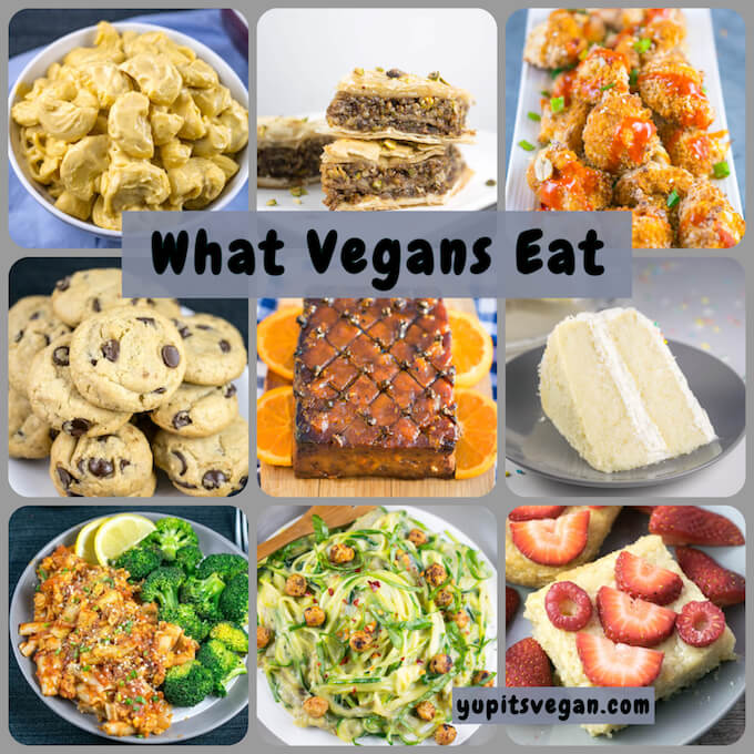 What can vegans not eat?