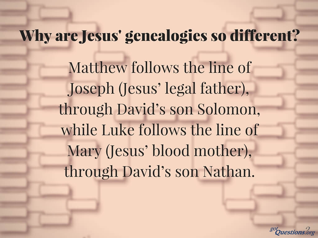 What can we learn from genealogies in the Bible?