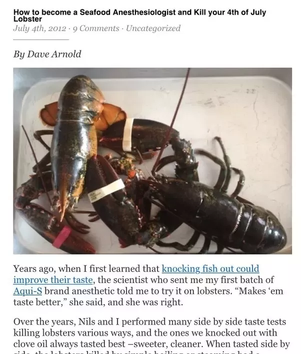 What can you do to a lobster to numb them?