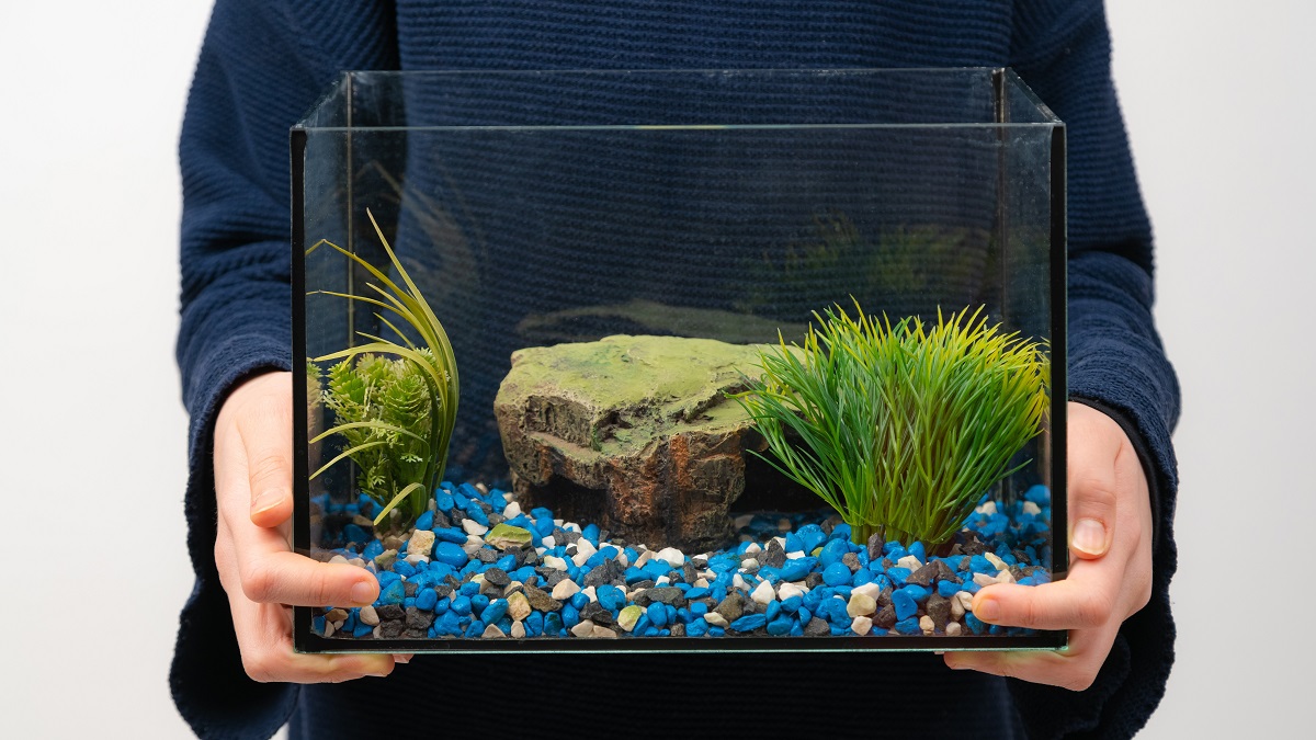 What can you do with a fish tank without fish?