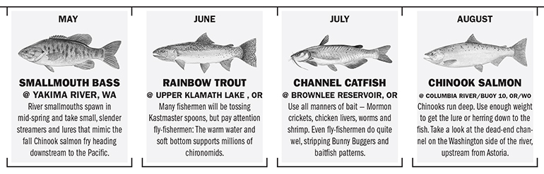 What can you fish for in Washington State right now?