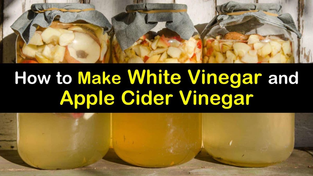 What can you make vinegar from?