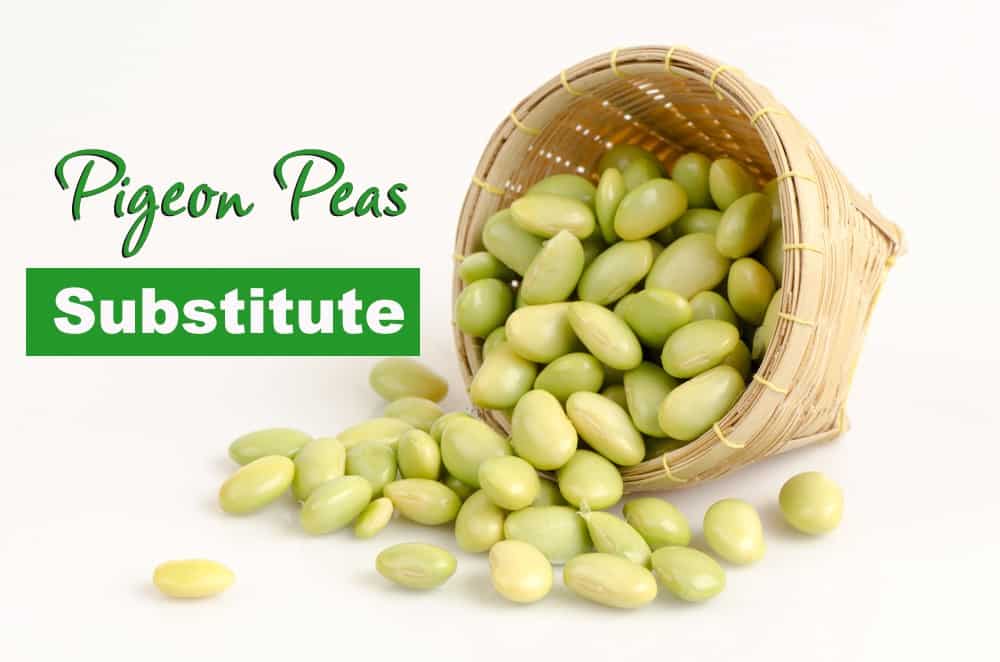 What can you substitute for pigeon peas?