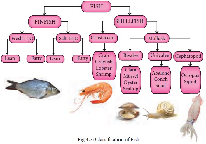 What category is fish in food?