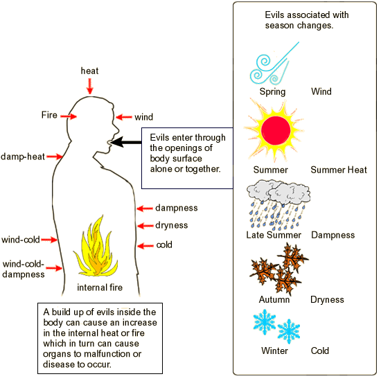 What causes dampness in body?