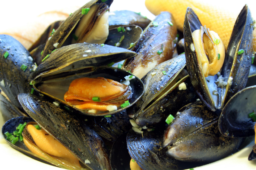 What causes food poisoning from mussels?