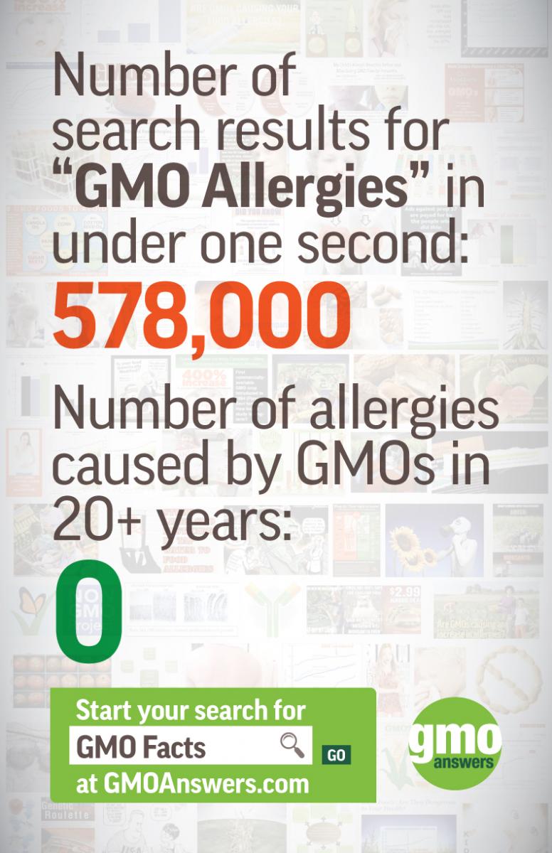 What causes GMO allergies?