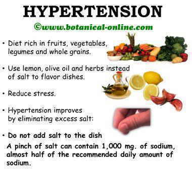 What causes hypertension and nutrition?