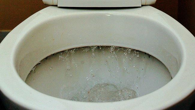 What causes toilet phobia?