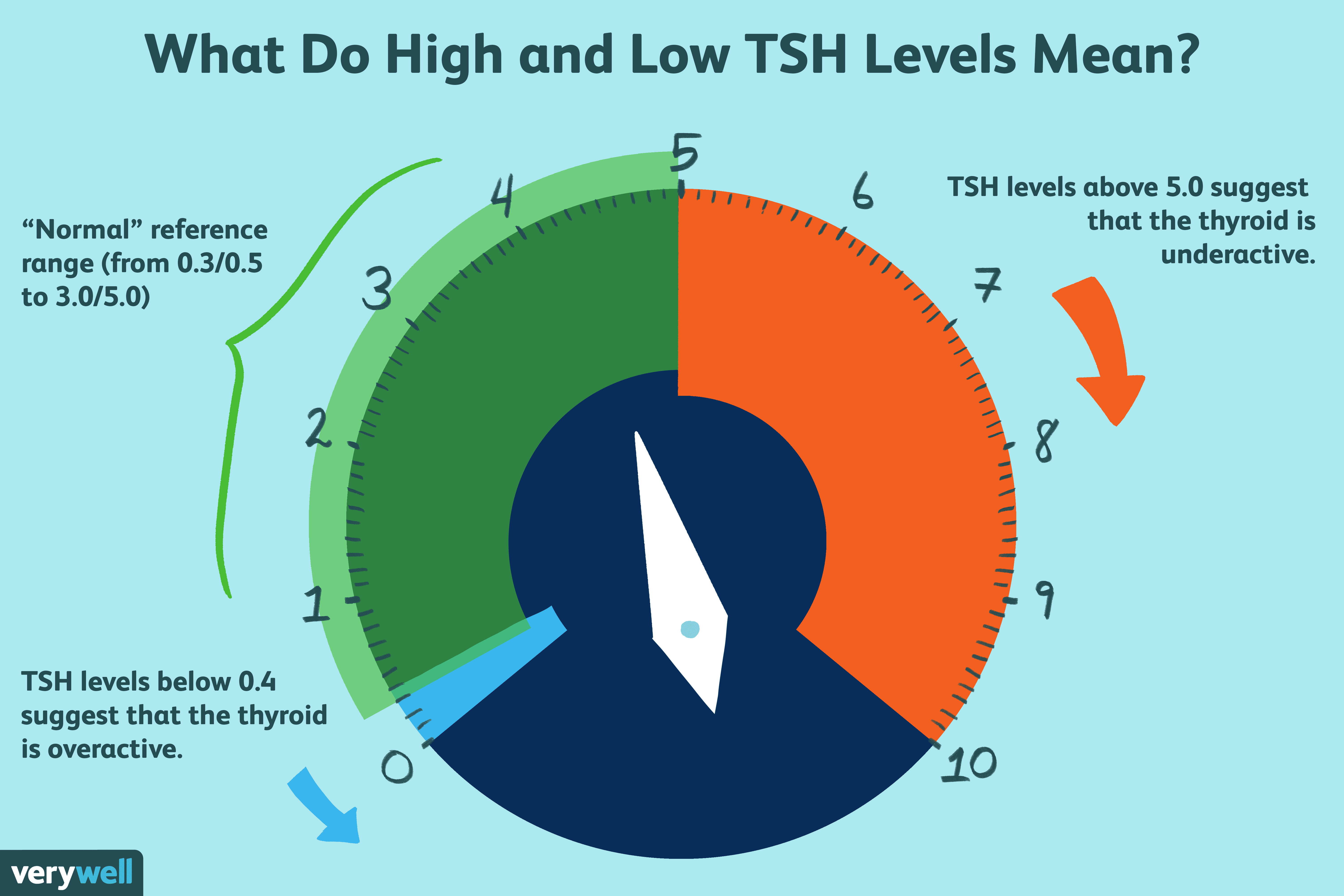 What causes TSH levels to go high?