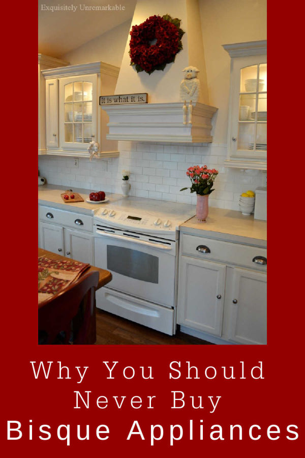 What color appliances go well with Bisque or bisque?