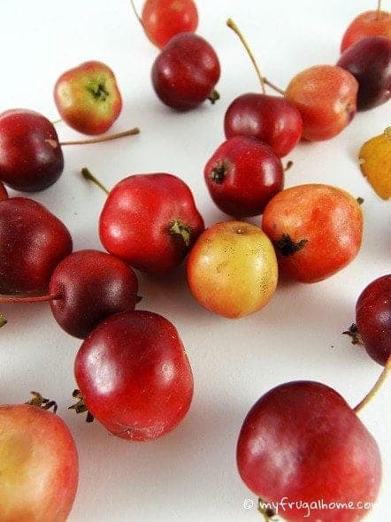 What color are ripe crabapples?