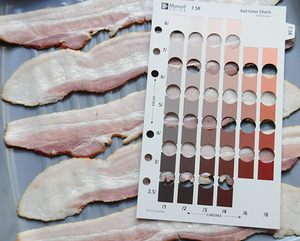 What color does bad bacon look like?