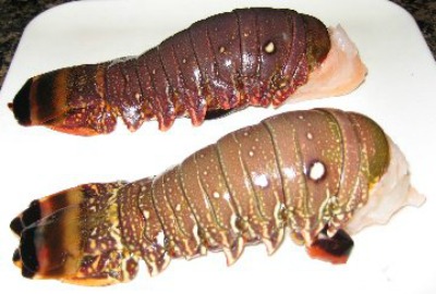 What color should lobster tails be?