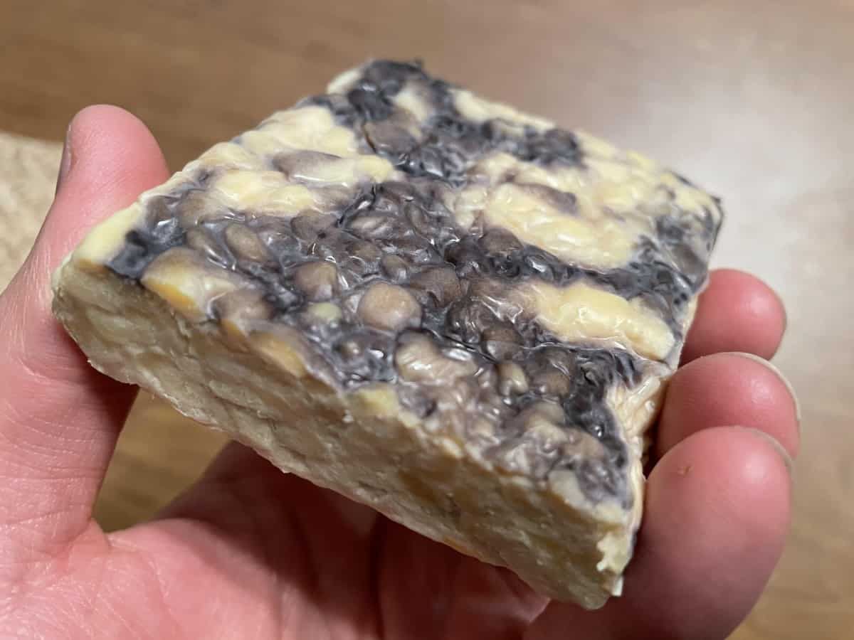 What color should tempeh be?