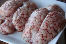 What countries eat brains?