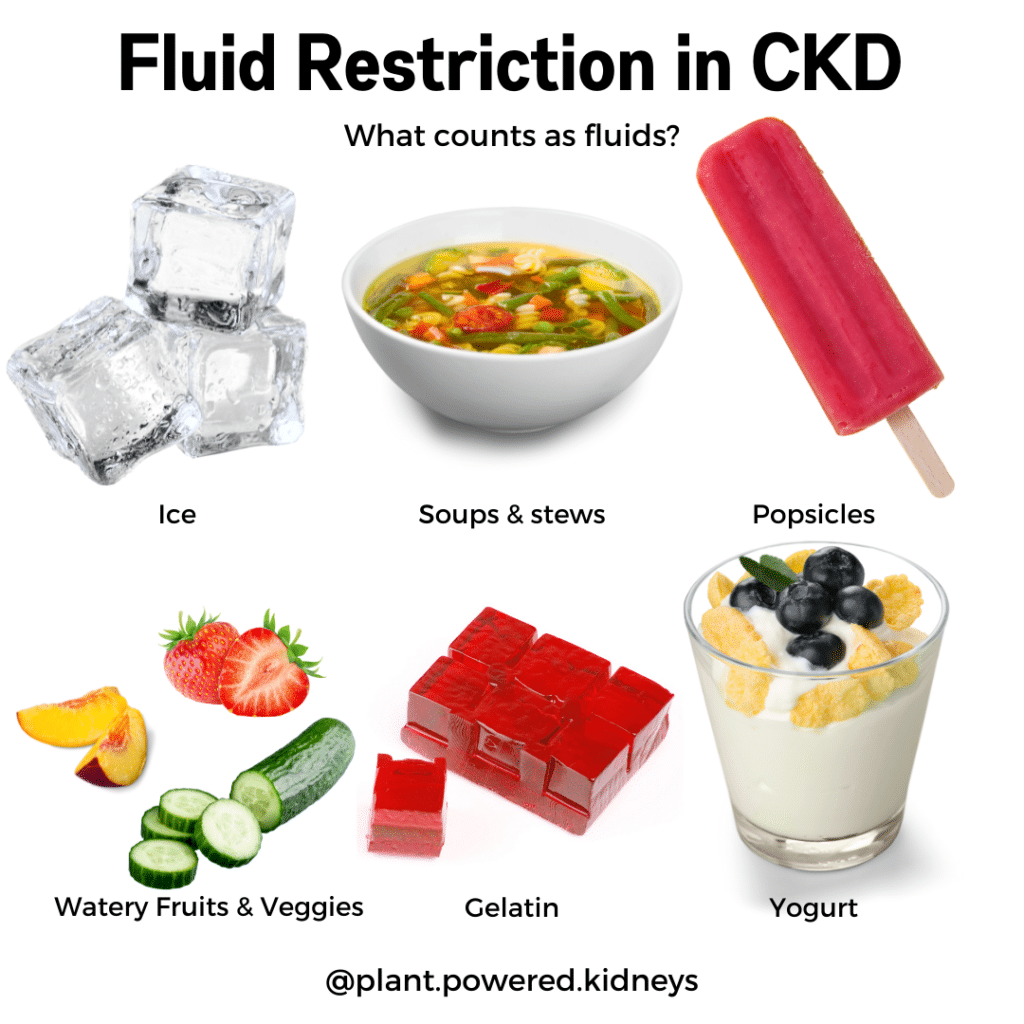 What counts as fluid on the kidney diet?