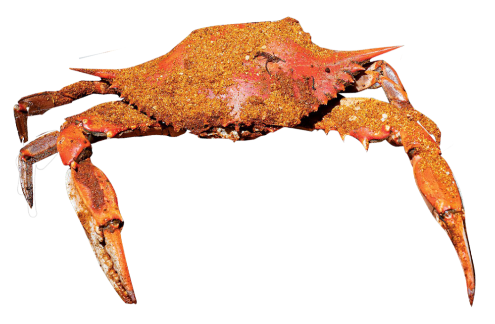 What crab is Baltimore famous for?