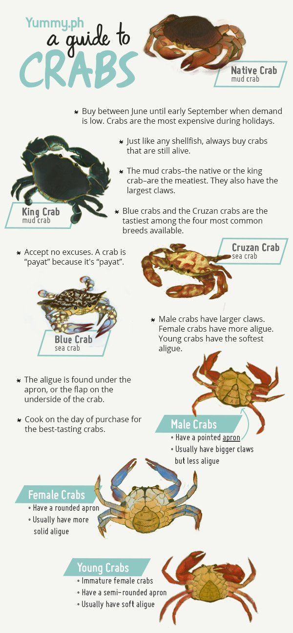 What crab worth the most?