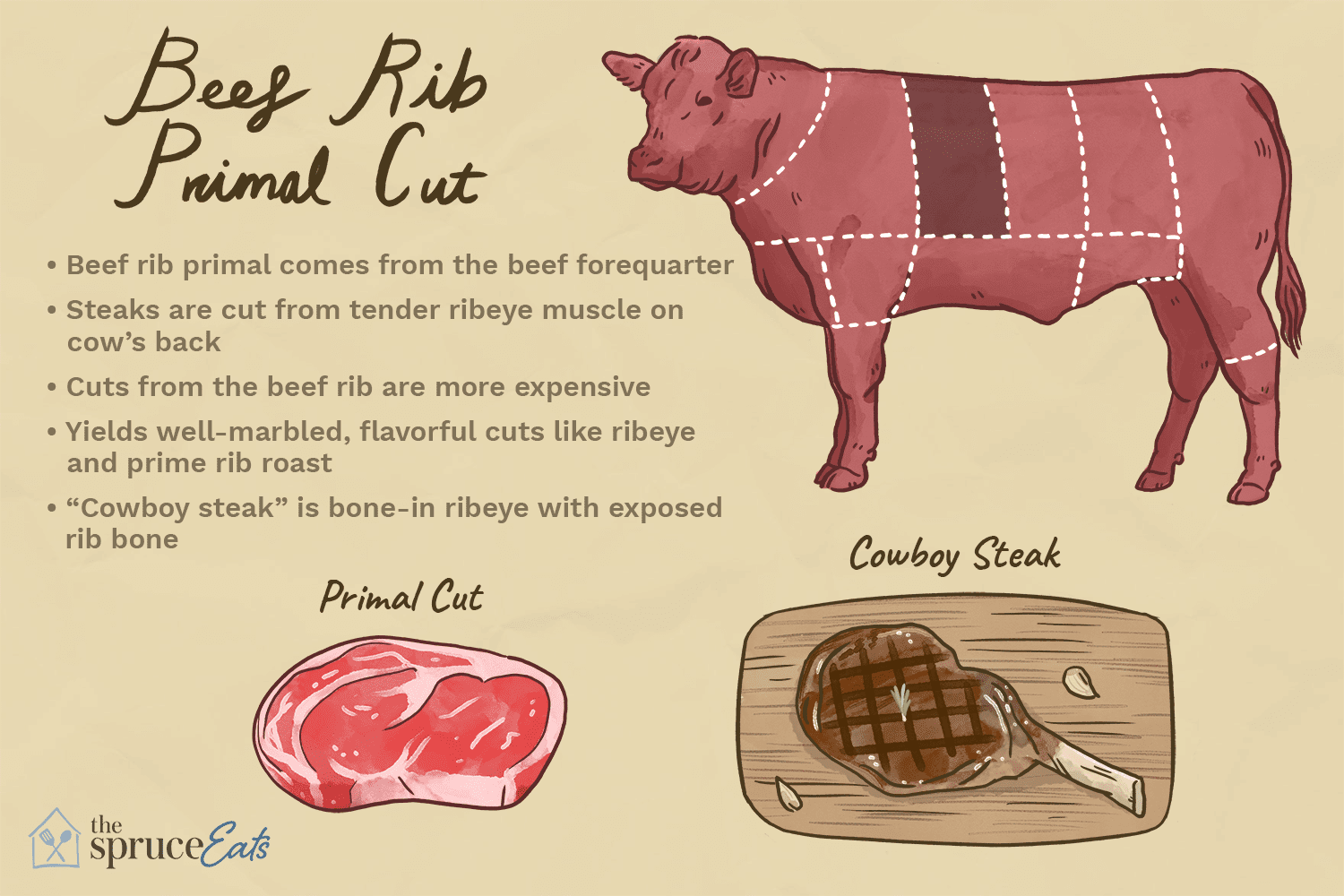 What cuts are primal ribs?