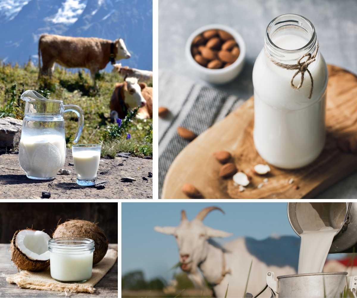 What dairy alternative is the most expensive?