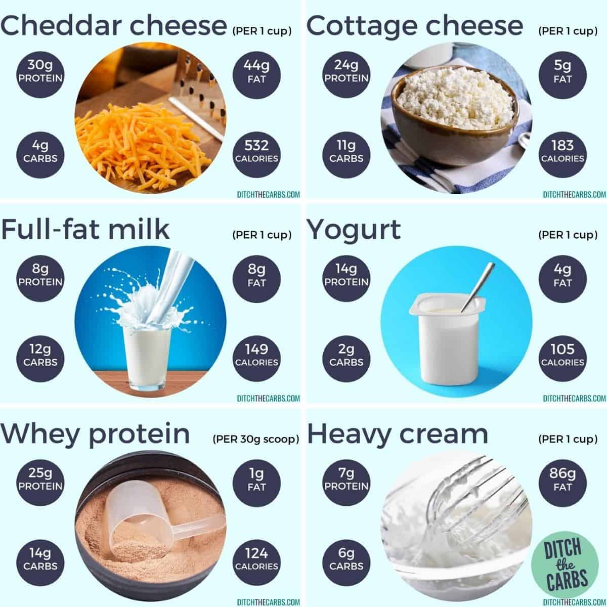 What dairy has the most protein?
