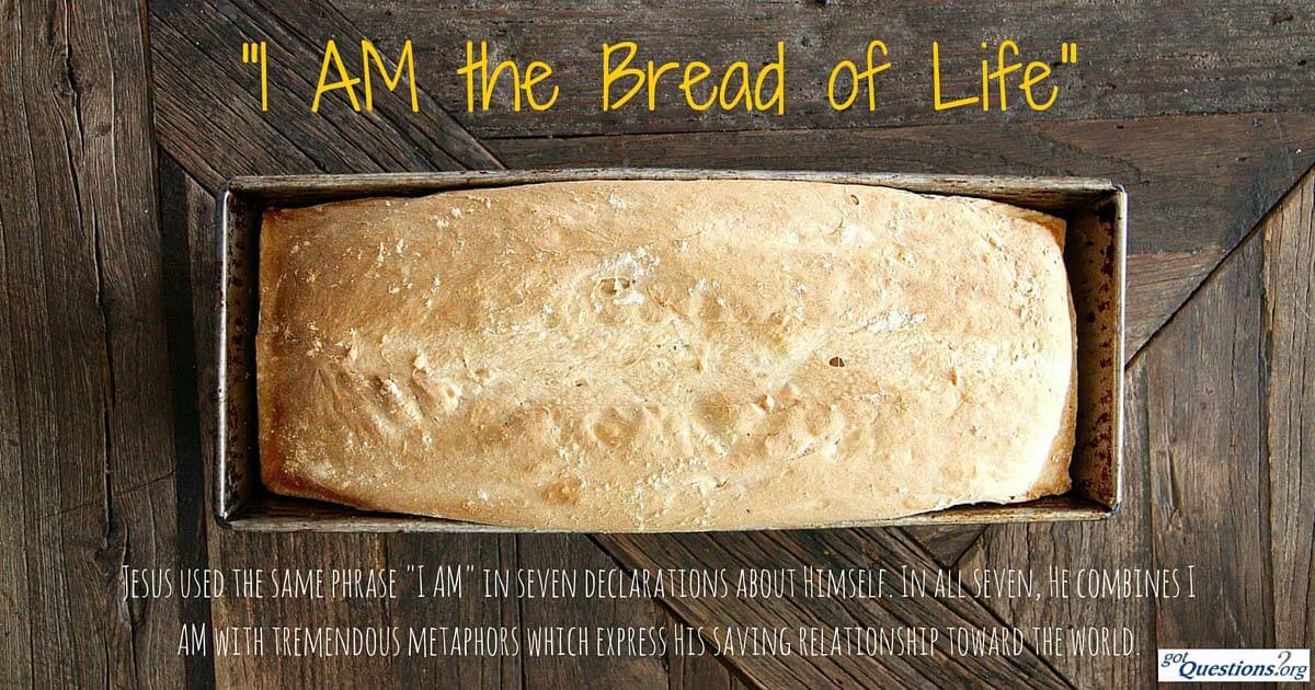 What did Jesus say about the bread?