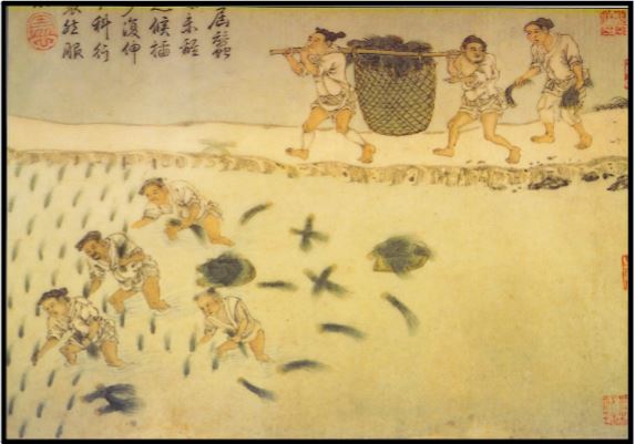 What did the peasant eat in ancient China?