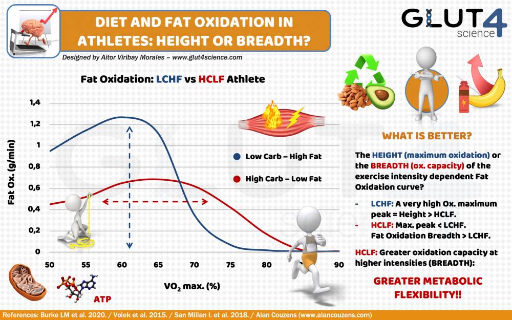 What diet increases fat oxidation?