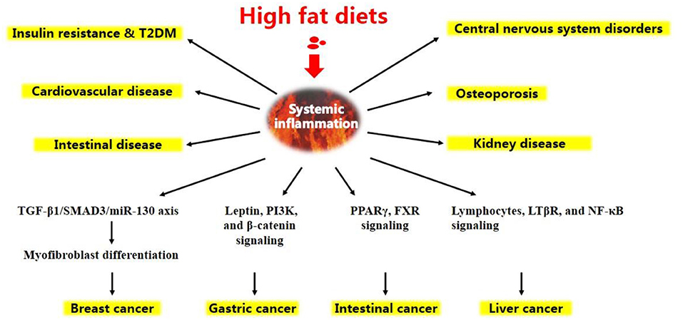 What disease is associated with a high-fat diet?