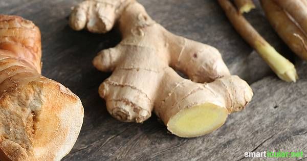 What diseases does ginger cure?