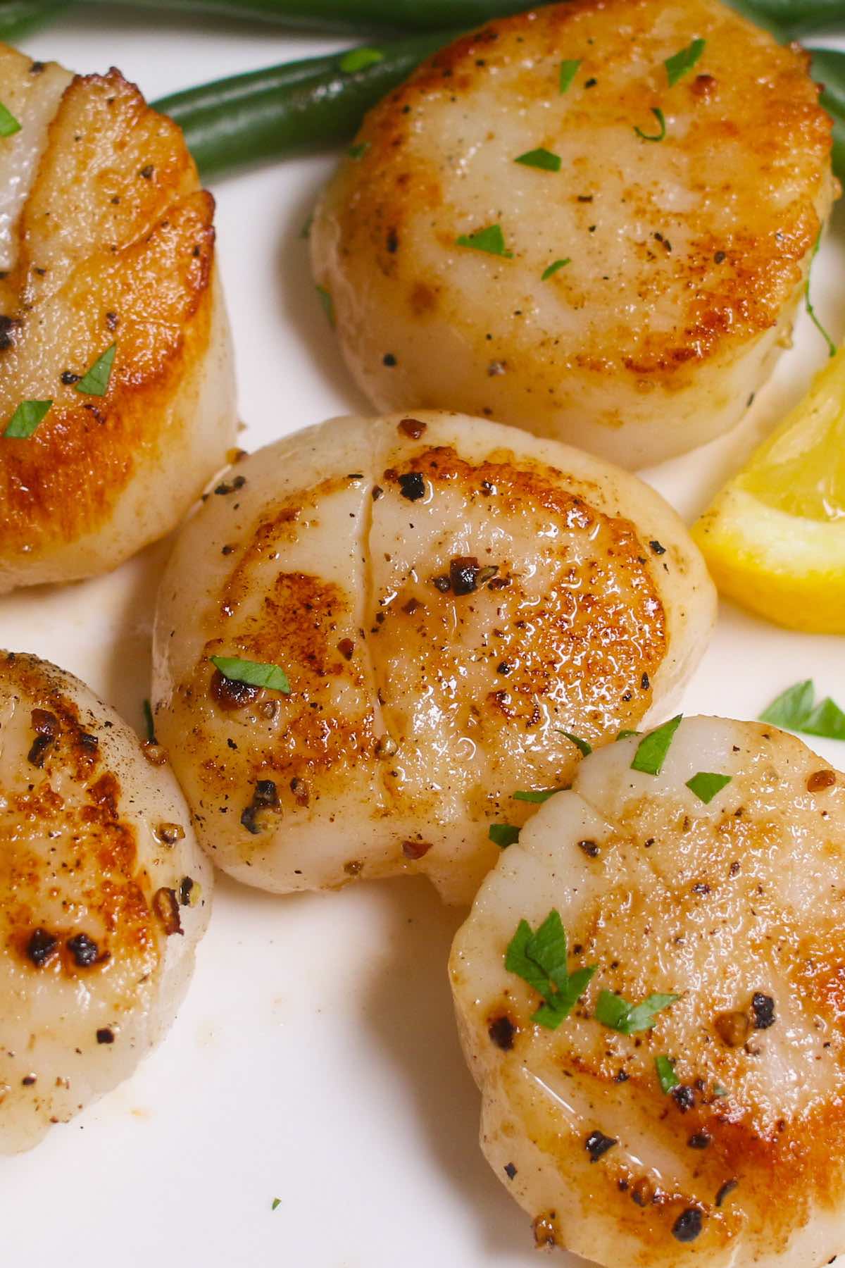 What do bad scallops taste like?