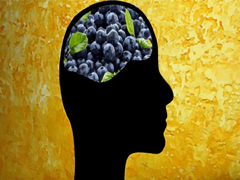 What do blueberries do for the brain?