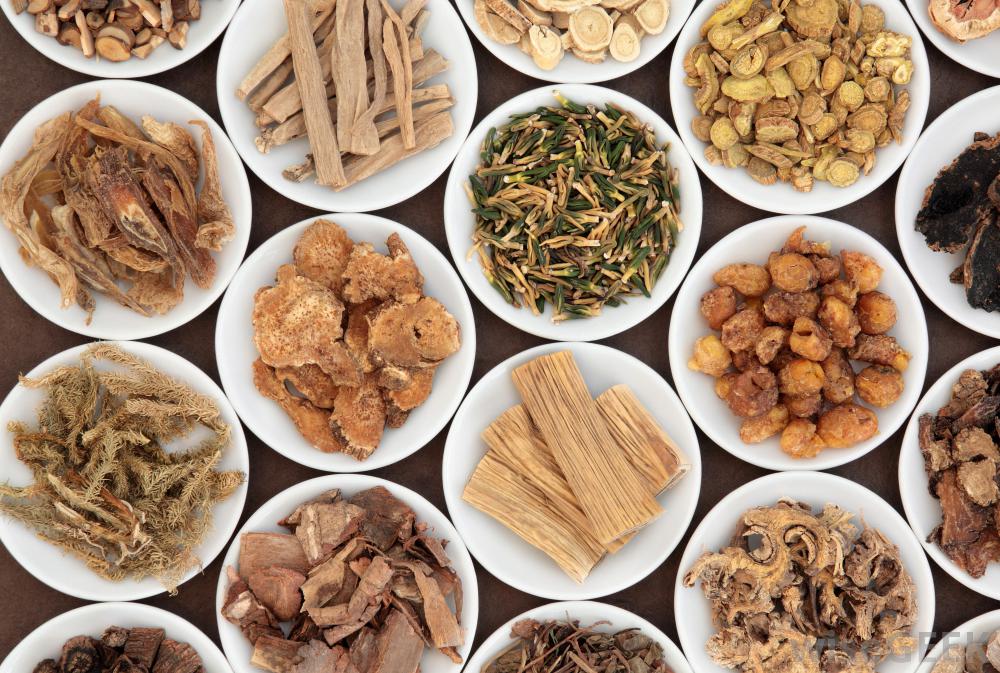 What do Chinese herbs taste like?