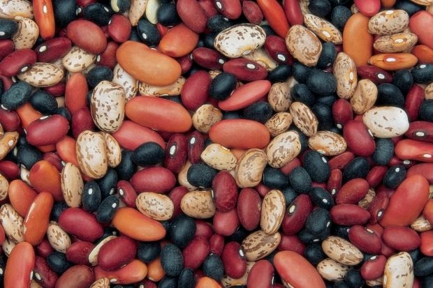 What do I do if my beans won't soften?