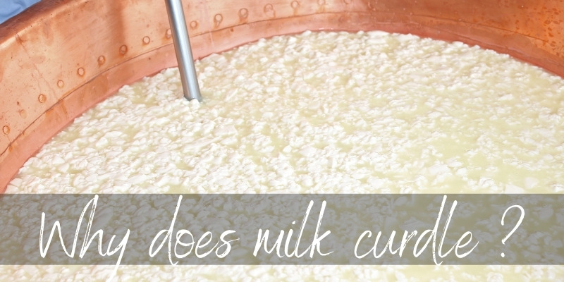 What do I do if my milk doesn't curdle?