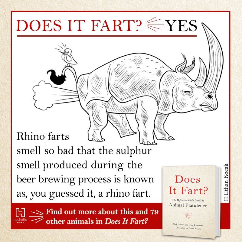 What do rhino farts smell like?