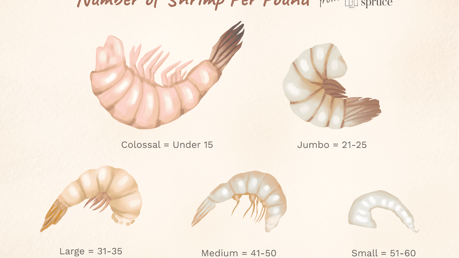 What do shrimp numbers mean?
