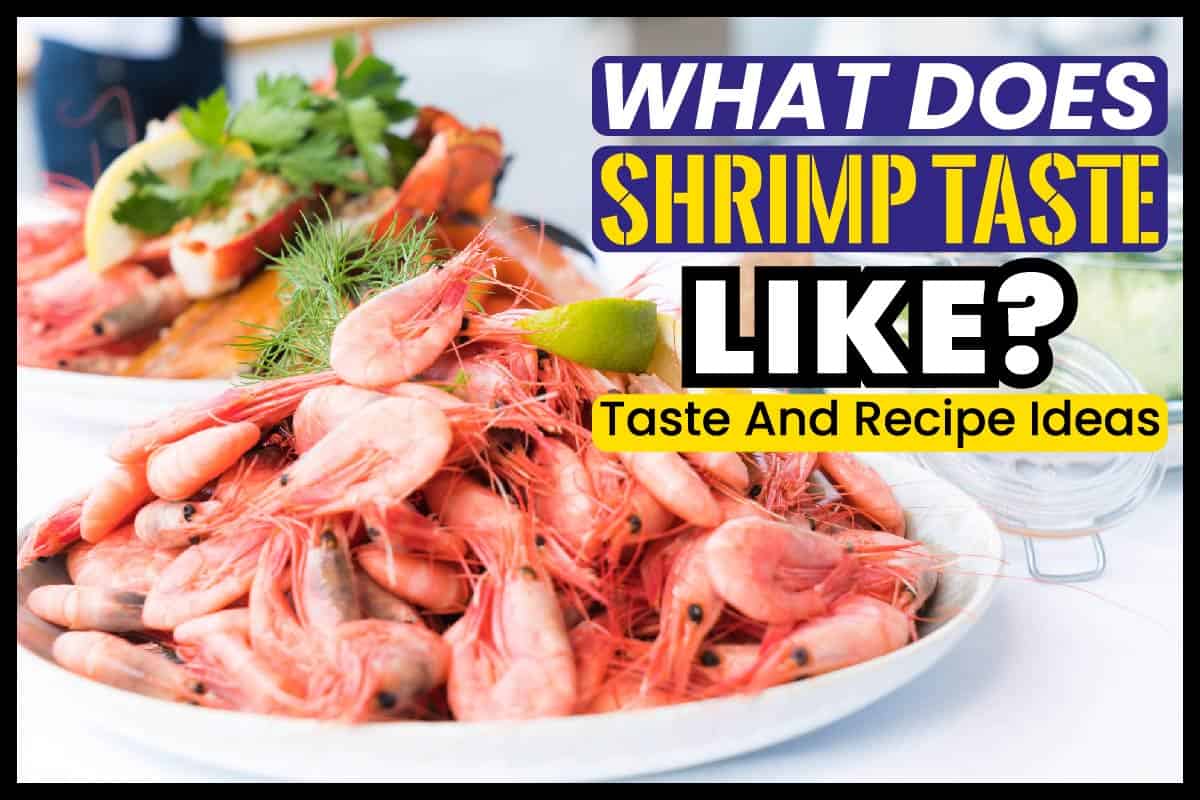 What do shrimps taste like?