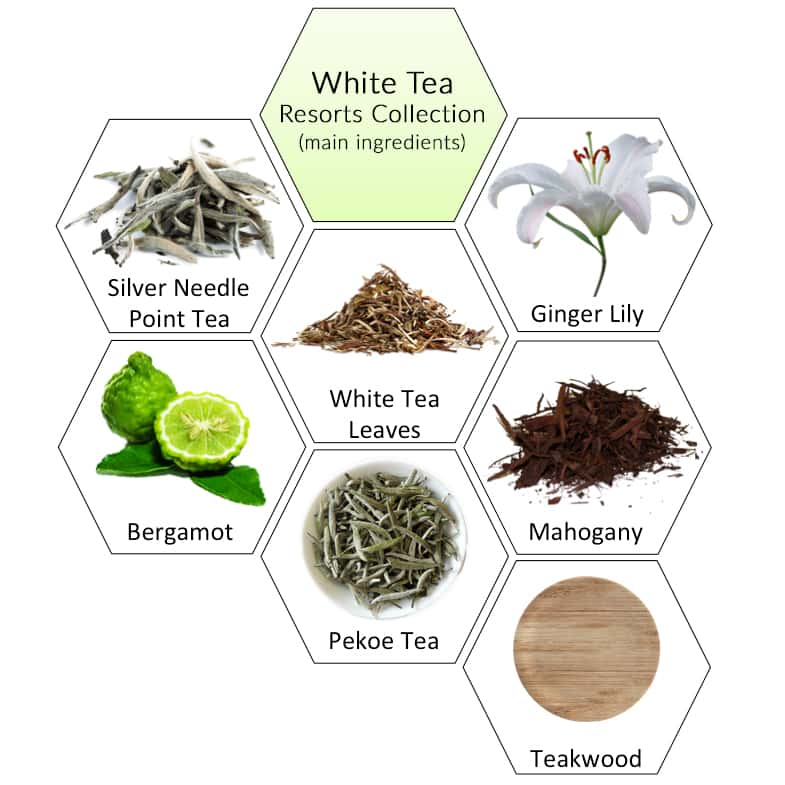 What do teas smell like?